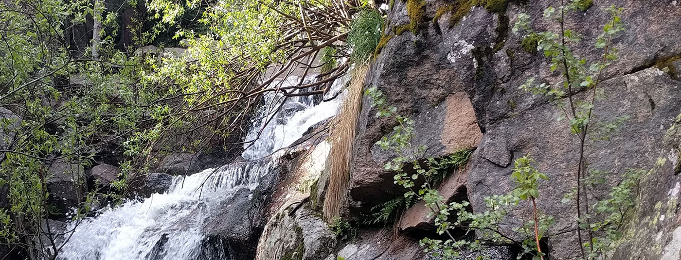 Maxwell Falls, Evergreen - Hiking, Biking, Nature, Waterfalls